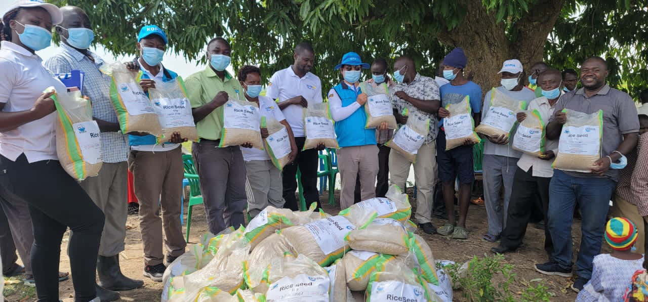 Ugandan farmers on crossroads over new seed varieties