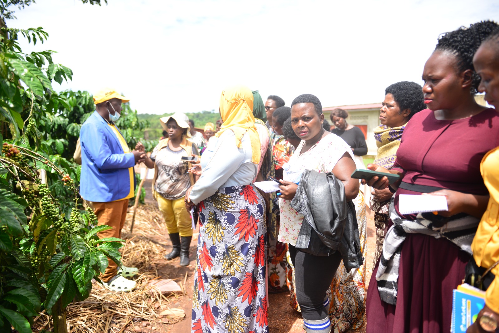 Women leaders from Wakiso, Mukono trained in best agricultural ...