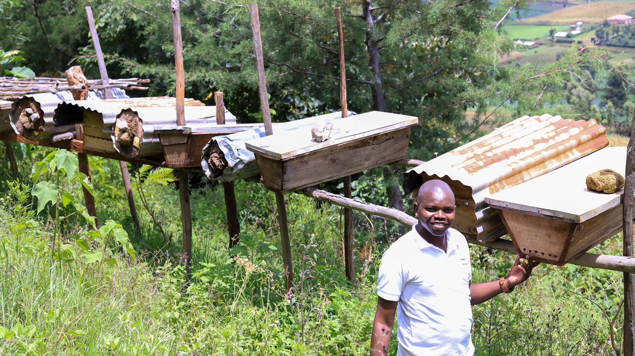 Kween Bee keepers vow to improve the activity in Sebei region - UG ...