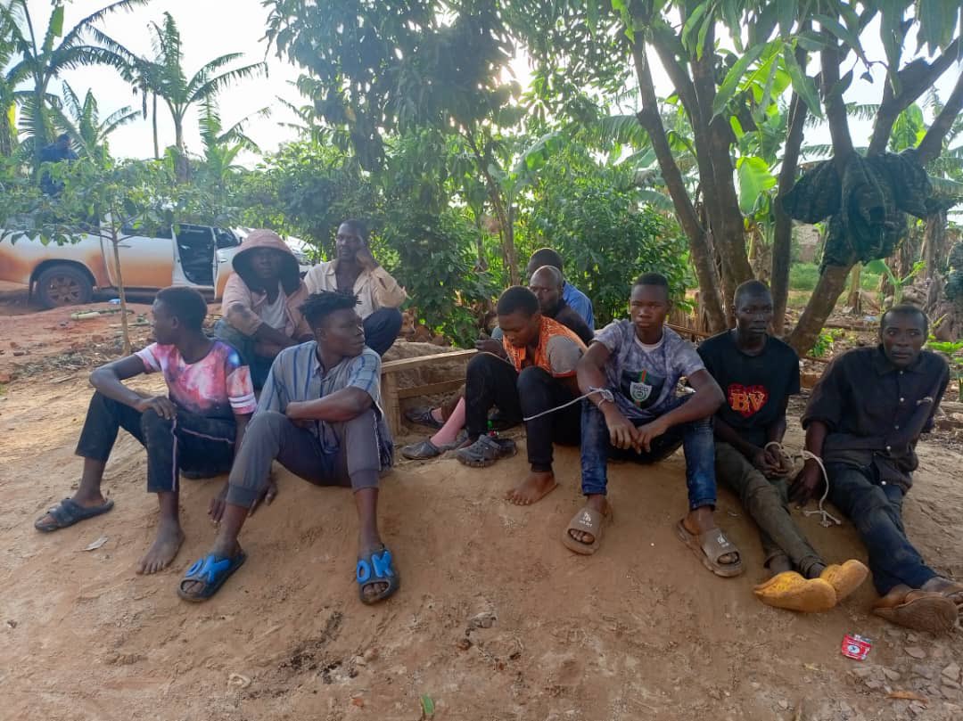 FOREST FURY! 10 arrested in massive crackdown on Mabira illegal logging
