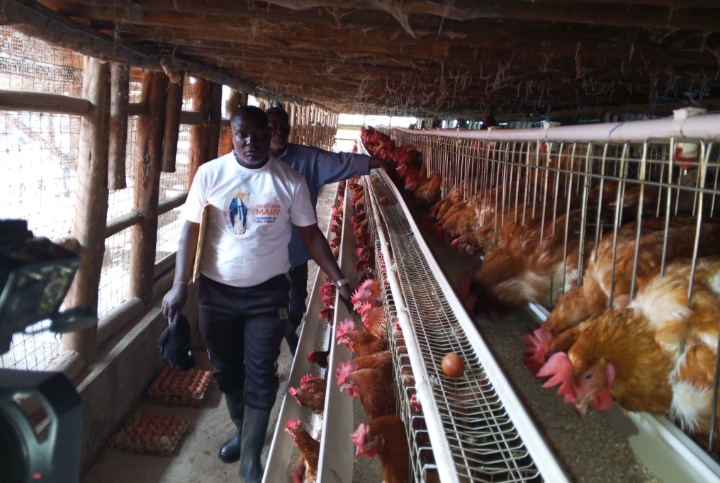 Looming unemployment: Farmers, Residents in shock as NEMA boss orders ...