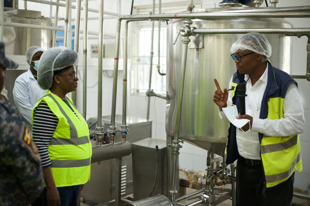 Kayihura Katebe Farm overhaul marks shift to science-led dairy farming ...